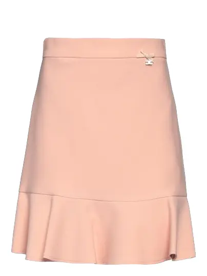 Elisabetta Franchi Flared Mini Skirt - Pink