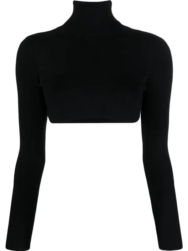Elisabetta Franchi High-neck Cropped Jumper - Black