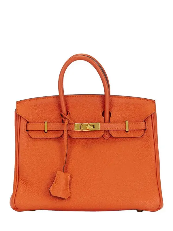 Hermès Chevre Birkin 25 Handbag - Feu Orange