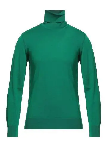 ANT/WERP Merino Wool Turtleneck - Green