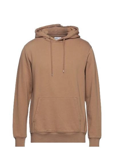 Colorful Standard Hooded Sweatshirt In Organic Cotton - Camel
