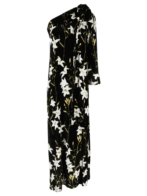 Bernadette Nel Floral-print One-shoulder Maxi Dress - Black