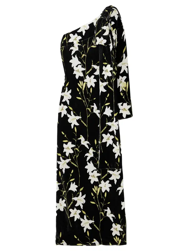 Bernadette Nel Floral-print Velvet Gown - Black