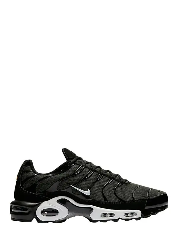 Nike Air Max Plus Sneakers - Black