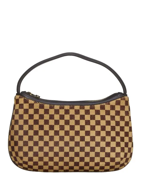 LOUIS VUITTON Damier Sauvage Tiger Pochette - Brown