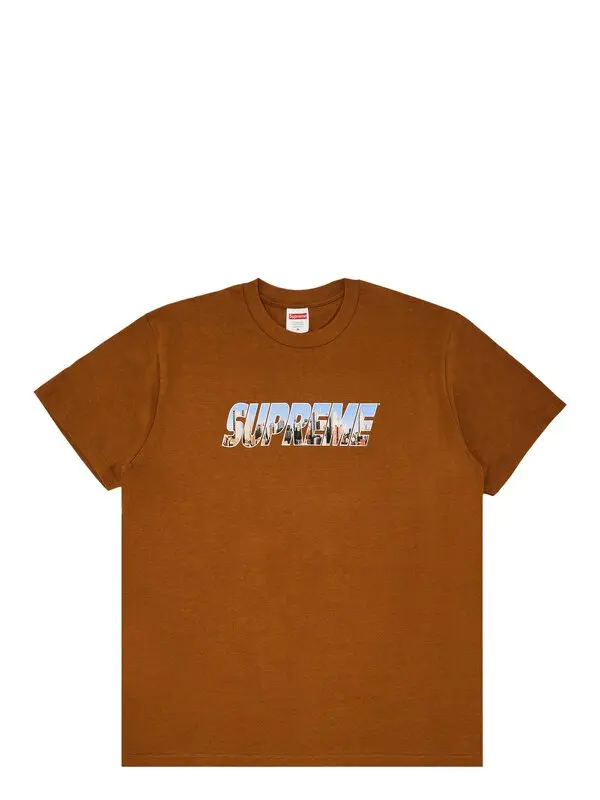 Supreme Gotham Tee 'light - Brown