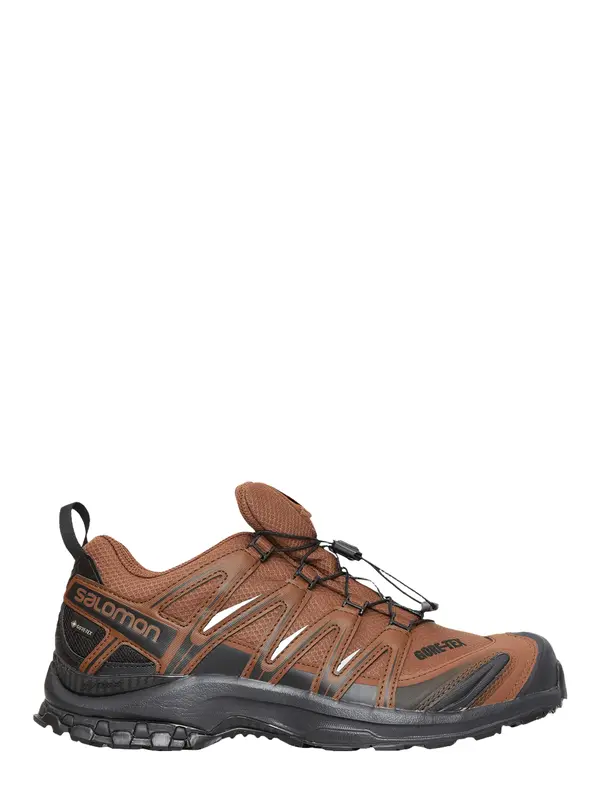 SALOMON And Wander X Xa Pro 3d Gore-tex - Brown