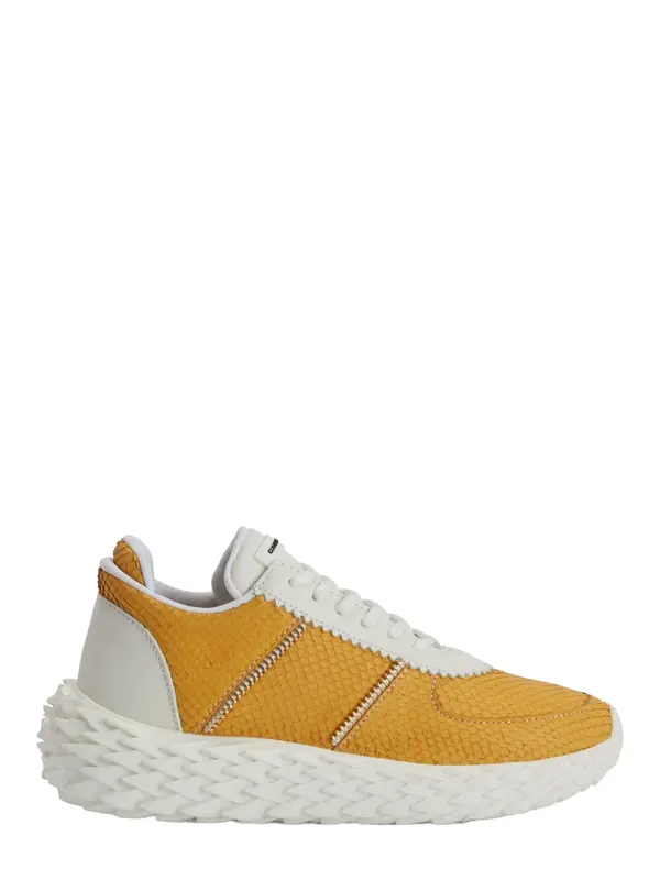GIUSEPPE ZANOTTI Urchin Low Top Sneakers - Yellow