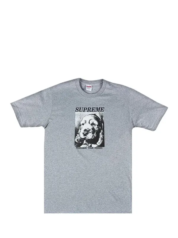 Supreme Remember T-shirt - Grey