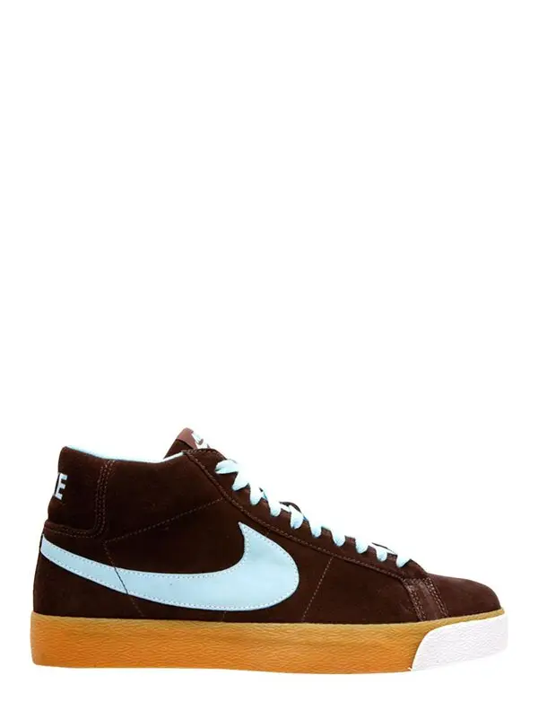 Nike Blazer Sb - Brown
