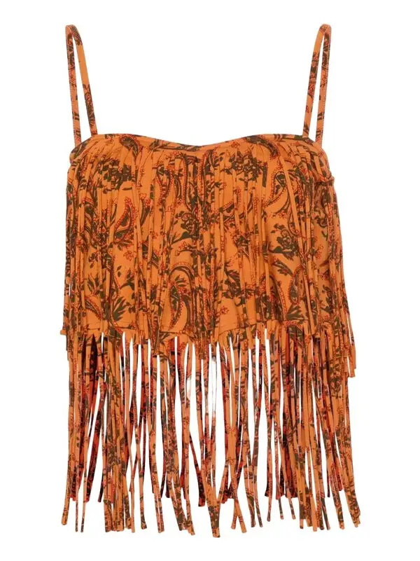 Alanui Monsoon Paisley-print Cropped Top - Orange