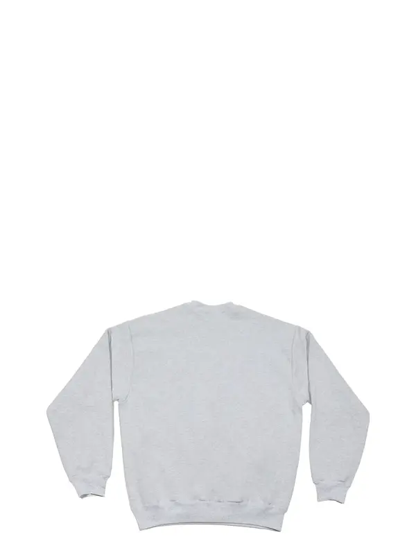 Youth To The People The Now' Crewneck - Heather Gray