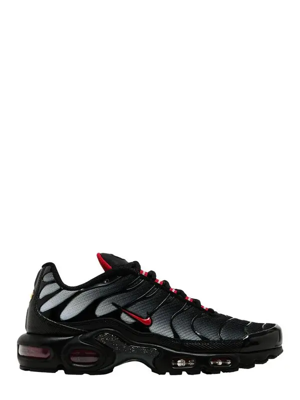 Nike Air Max Plus Sneakers - Black