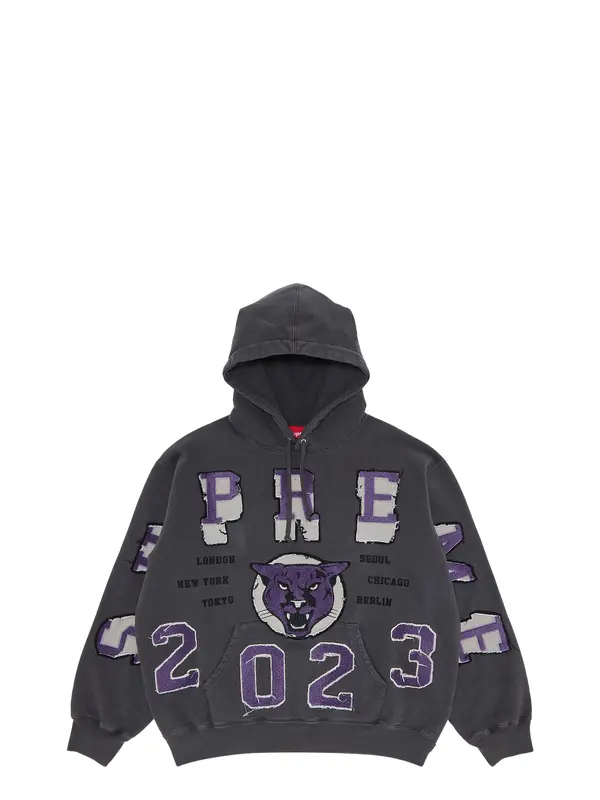 Supreme Washed Panther Hooded Sweatshirt - Black