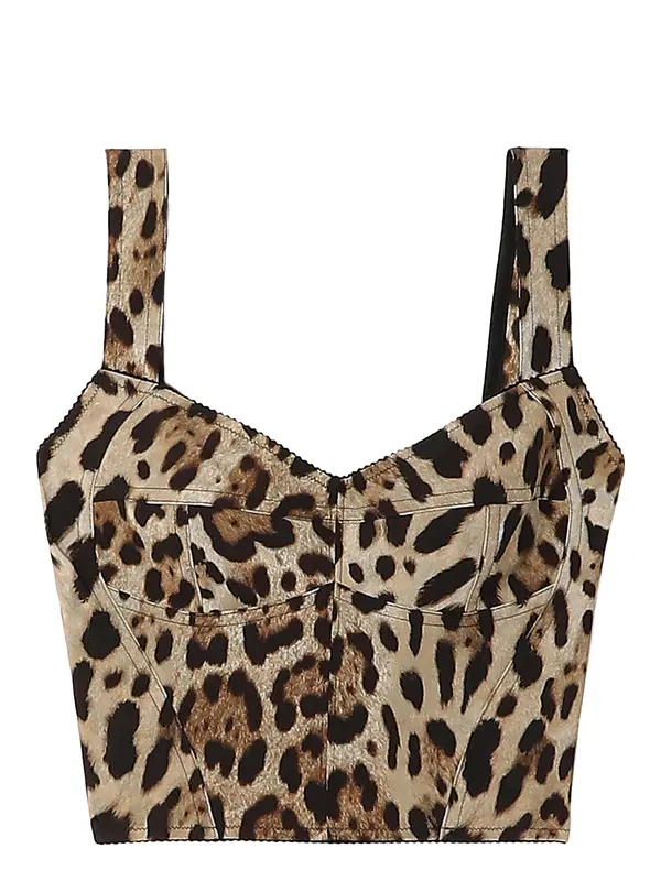 Dolce & Gabbana Leopard-print Bustier Top - Animal Print