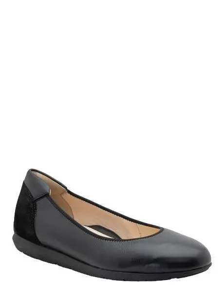 ARA Ballet Flat - Black Calf