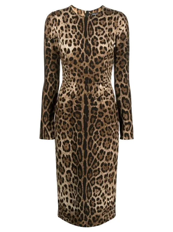 Dolce & Gabbana Leopard-print Long-sleeve Dress - Brown
