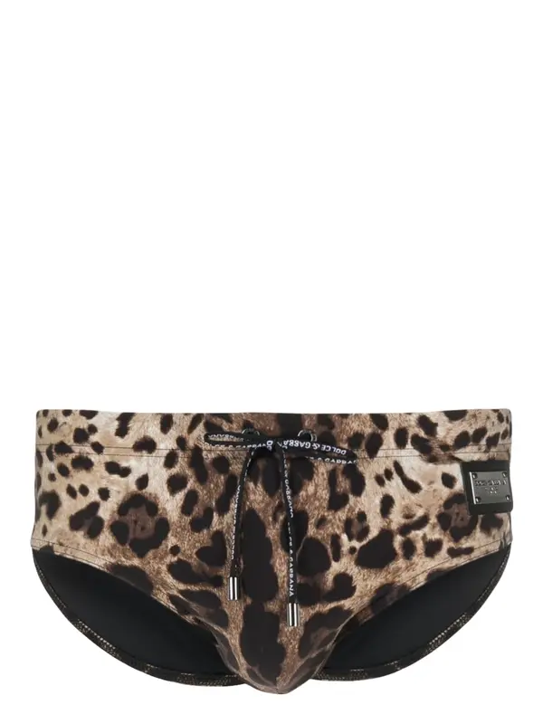 Dolce & Gabbana Leopard-print Swim Briefs - Brown