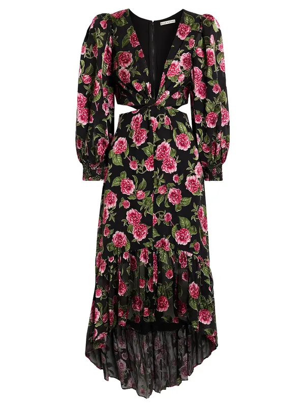 Alice + Olivia Katia Floral-print Fil Coupé Chiffon Maxi Dress - Black
