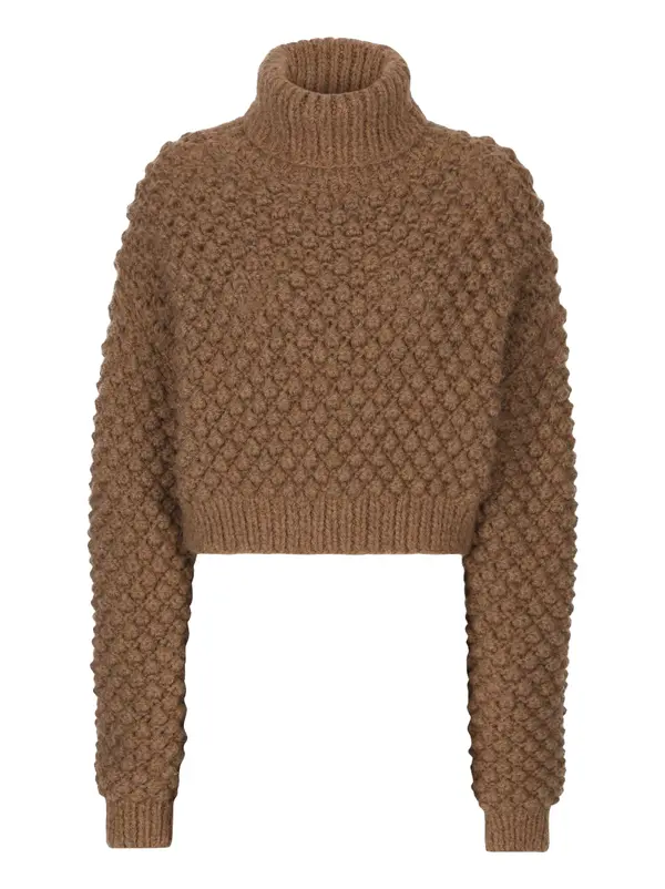 Dolce & Gabbana Roll-neck Cropped Jumper - Brown