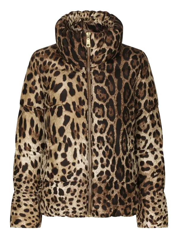 Dolce & Gabbana Leopard-print Padded Jacket - Brown