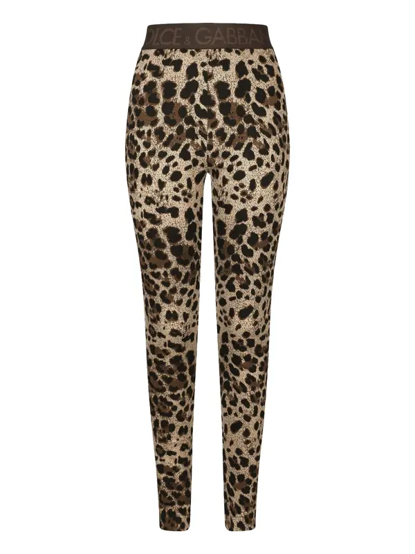 Dolce & Gabbana Logo-waistband Leopard-print Leggings - Neutrals