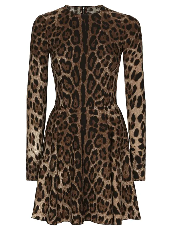 Dolce & Gabbana Leopard-print Short Dress - Brown