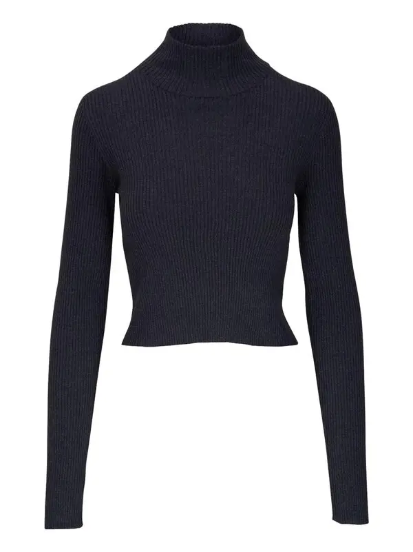 Brunello Cucinelli Fitted Ribbed-knit Top - Blue