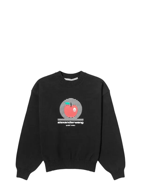 Alexander Wang Pullover Crew Sweatshirt - Black