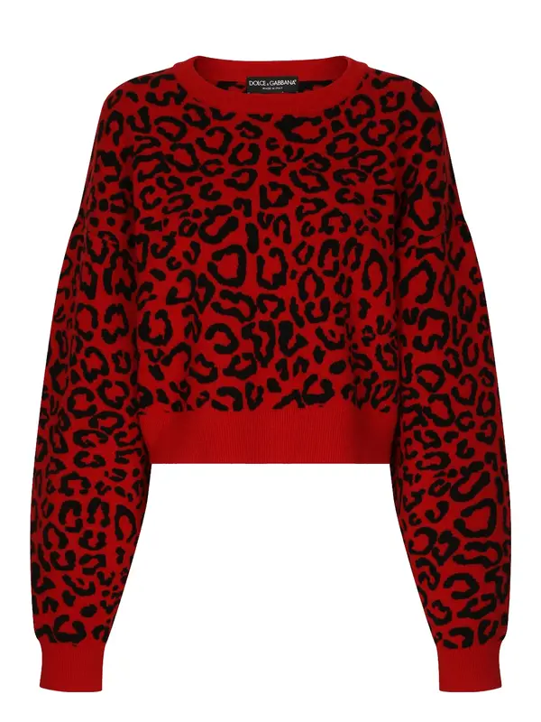 Dolce & Gabbana Leopard-print Jumper - Red