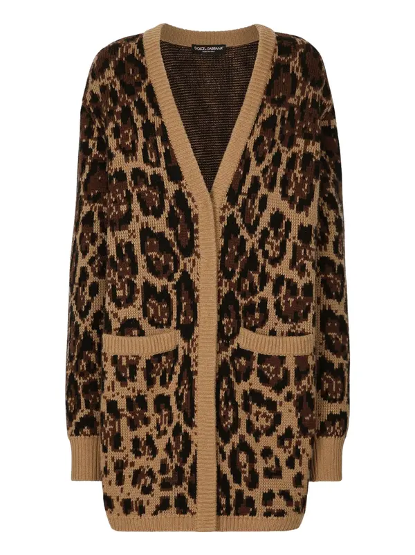 Dolce & Gabbana Leopard-print V-neck Cardigan - Brown