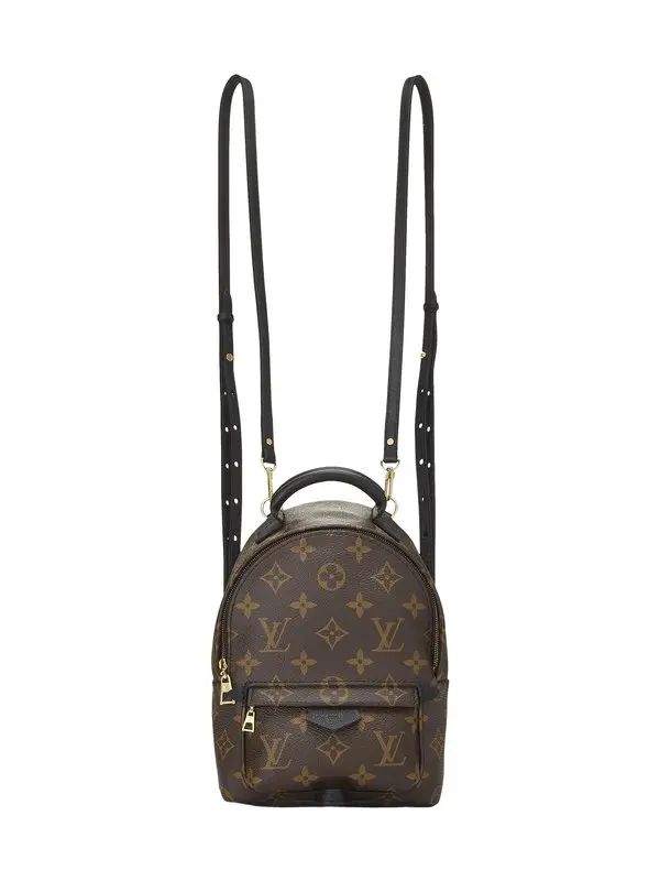 LOUIS VUITTON Monogram Palm Springs Backpack - Brown