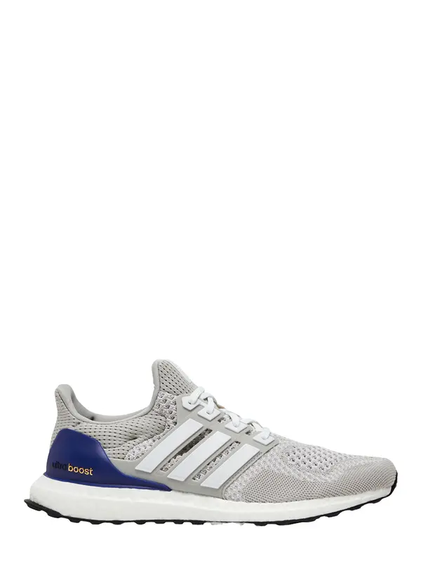 Adidas Ultraboost 1.0 Dna - White