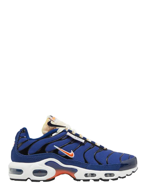 Nike Air Max Plus Se Sneakers - Blue