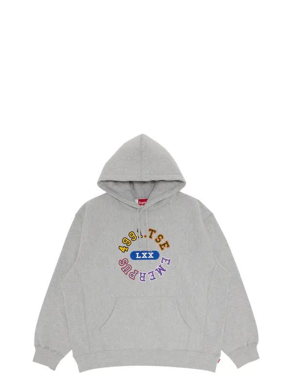 Supreme Reverse Hooded Sweatshirt - Grey