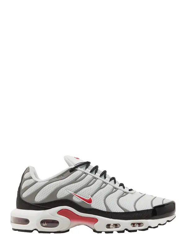 Nike Air Max Plus Sneakers - Grey