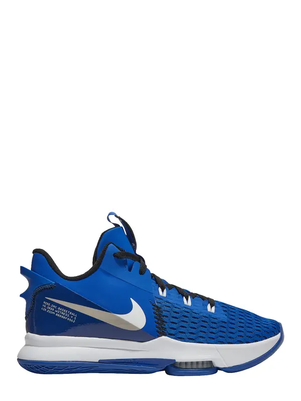 Nike Lebron Witness 5 - Blue