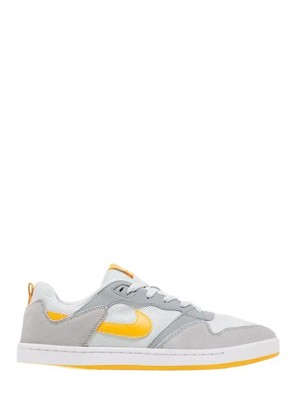 Nike Alleyoop Sb Sneakers - Grey