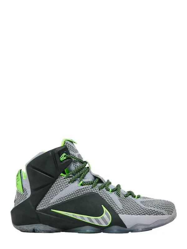Nike Lebron 12 Dunkman Sneakers - Grey