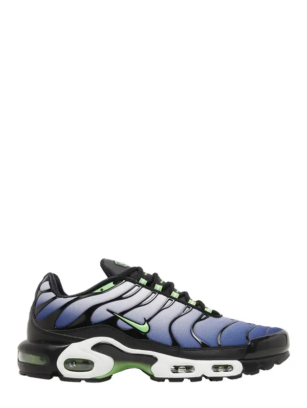 Nike Air Max Plus Icons Sneakers - Blue