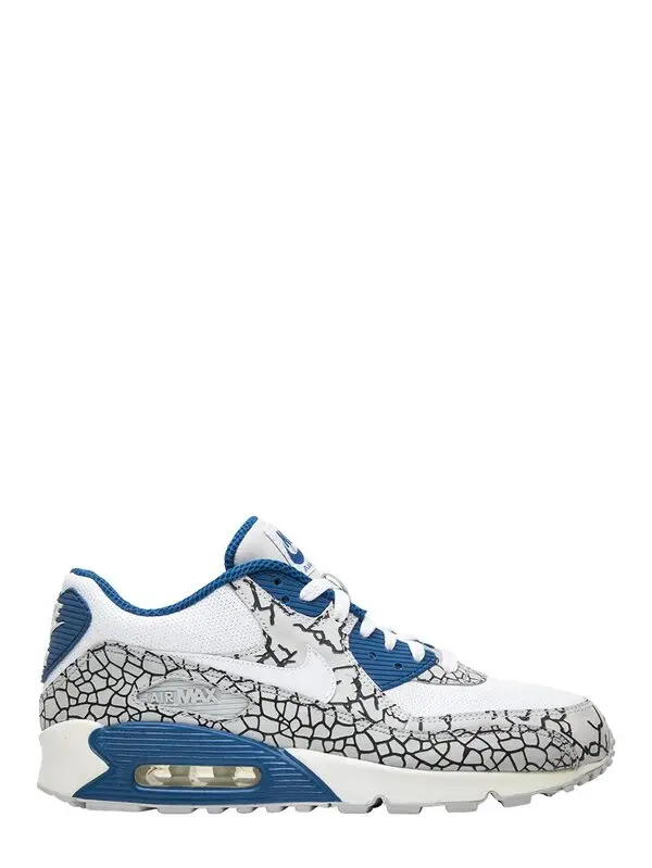 Nike Hufquake Air Max 90 Premium Sneakers - Grey