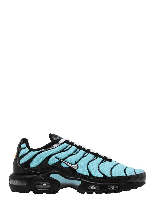 Nike Air Max Plus Sneakers - Blue