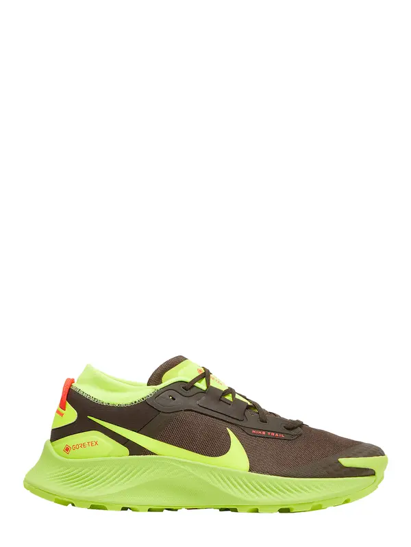 Nike Pegasus Trail 3 Gtx Sneakers - Brown