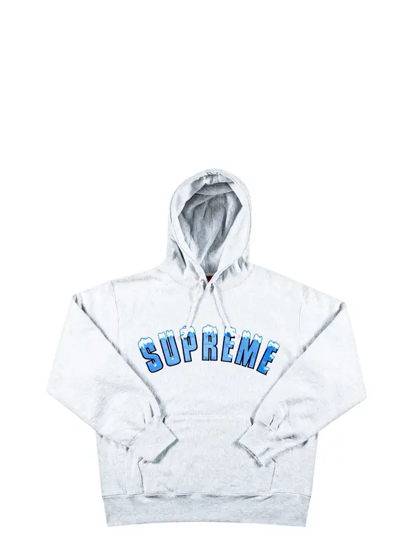 Supreme Icy Arc Hooded Sweatshirt - Grey