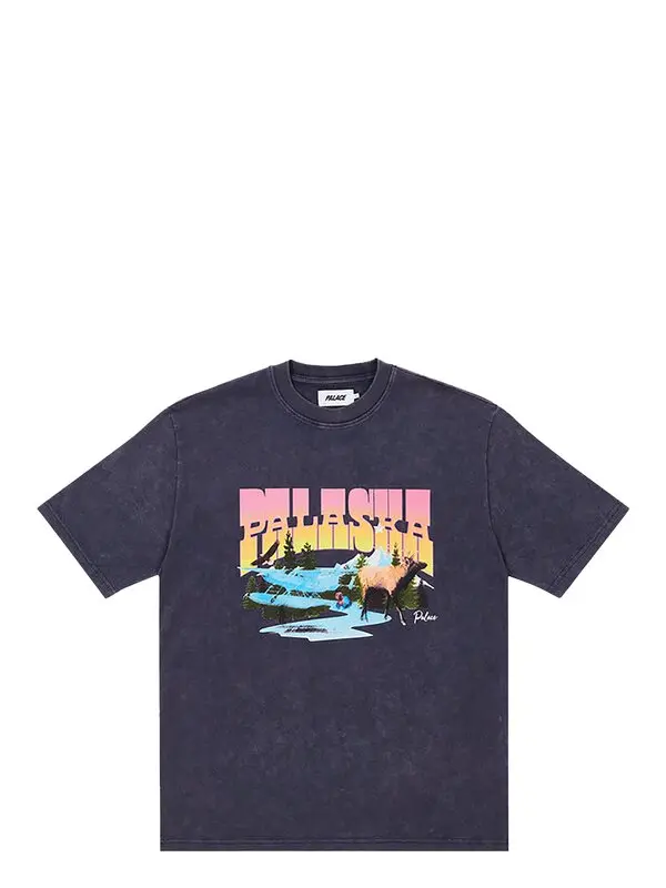 PALACE Palaska Dye T-shirt - Purple
