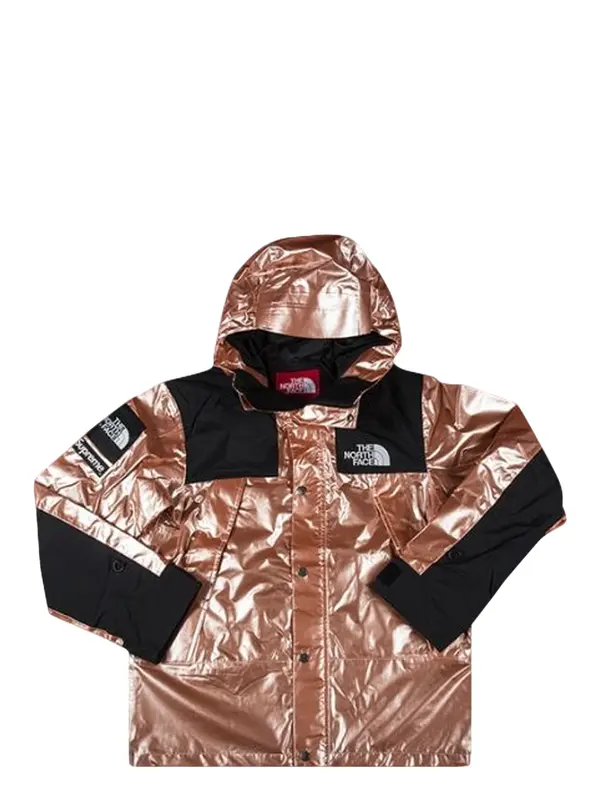 Supreme X The North Face Metallic Mountain Parka - Pink