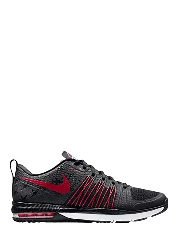 Nike Air Max Effort Tr Amp 'ohio State - Black