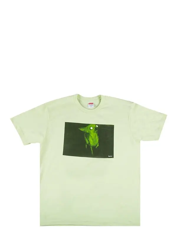 Supreme Chris Cunningham Chihuahua Tee 'pale Mint - Green
