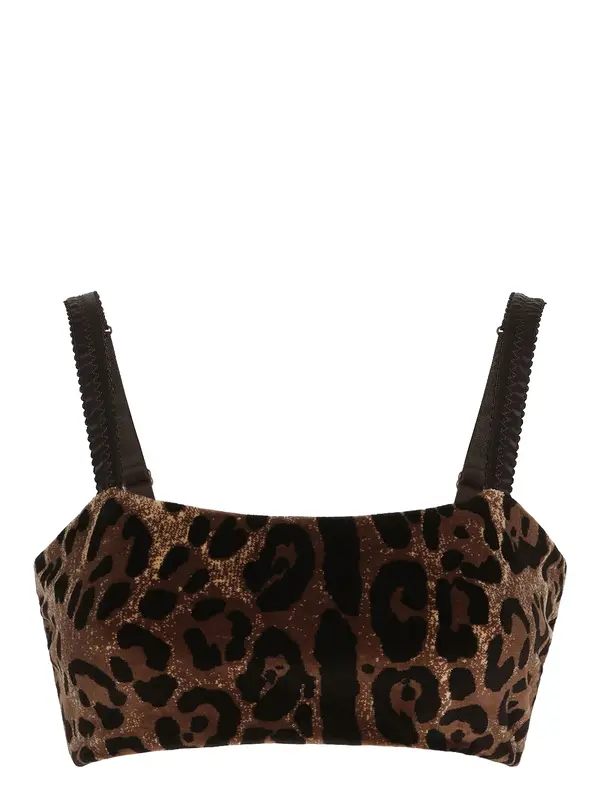 Dolce & Gabbana Leopard-print Crop Top - Brown