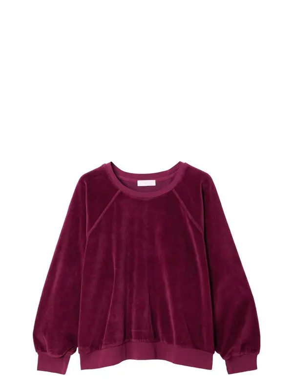 Suzie Kondi Samos Cotton-blend Velour Sweatshirt - Burgundy